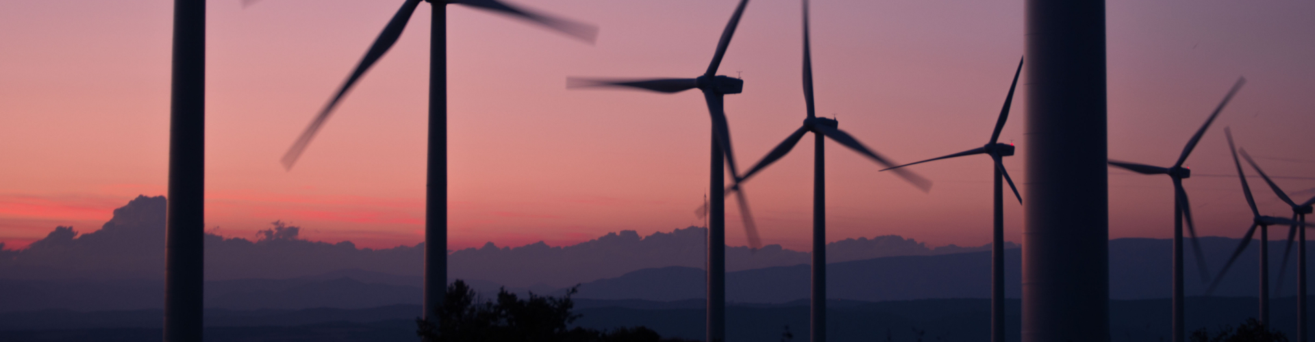 Alexander Mackenzie | rhi